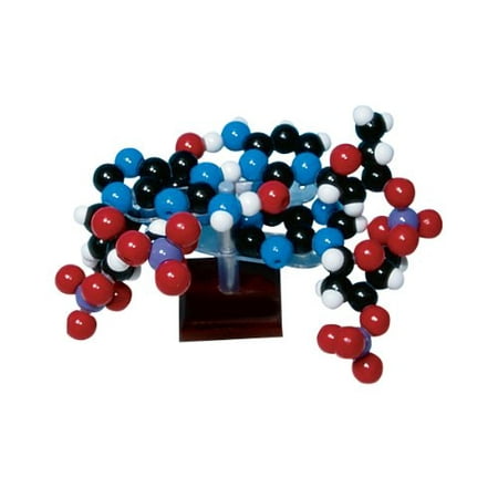 Molymod W19754 128 Piece Two Layer DNA Molecular Model Kit | Walmart Canada