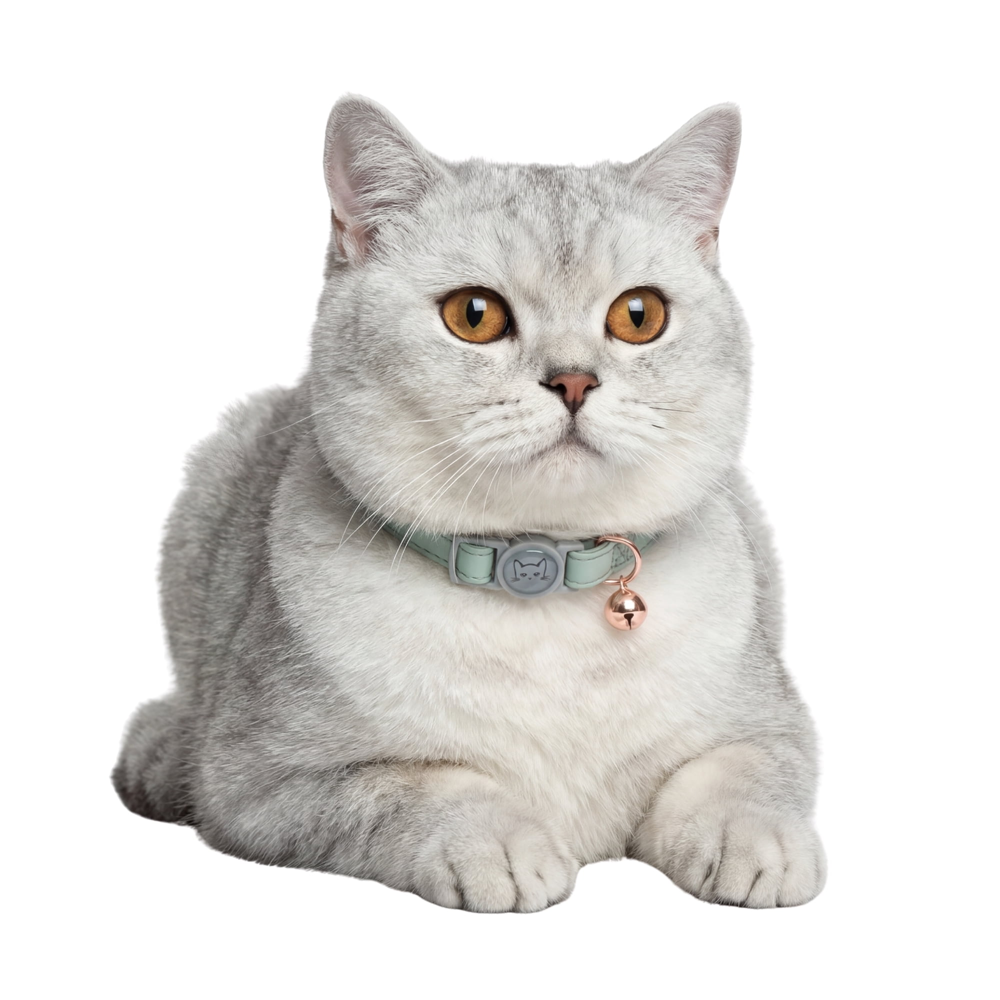 Click here for One Paw  Vegan Leather Safety Cat Collar  Breakawa... prices