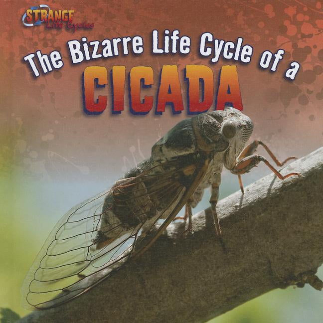 Strange Life Cycles: The Bizarre Life Cycle of a Cicada (Hardcover ...