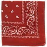 Red Bandana Halloween Costume Accessory - Walmart.com