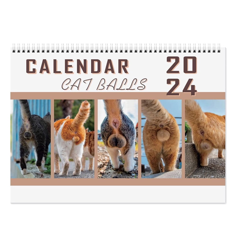 Calendario Gato 2024 Y Calendario Pared Cuadrado | Bodega Aurrera en línea