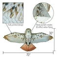 In the Breeze 3374 — 70-inch Red-Tailed Hawk Kite — Realistic Printed ...