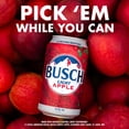 Busch Light Apple American Lager Beer 30 Pack, 12 fl oz Cans , 4.1% ABV ...