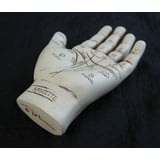 Palmistry Hand Model Resin Sculpture Fortune Telling Palm Reading with ...