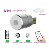 Smart Door Lock Motor TUYA Smart Lock Finrprint Lock Electronic Lock ...