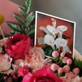 3drose, Calla Lilies Botanical Art on a Red Background, 6 Greeting ...