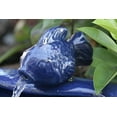 Smart Solar Outdoor Water Fountain - Solar Powered Koi Fountain with ...