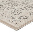 Jaipur Fables Regal Transitional Oriental Pattern Viscose/Chenille Rug ...