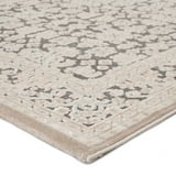 Jaipur Fables Regal Transitional Oriental Pattern Viscose/Chenille Rug ...