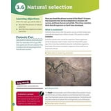 Aqa Activate For Ks3: Student Book 2 - Walmart.com