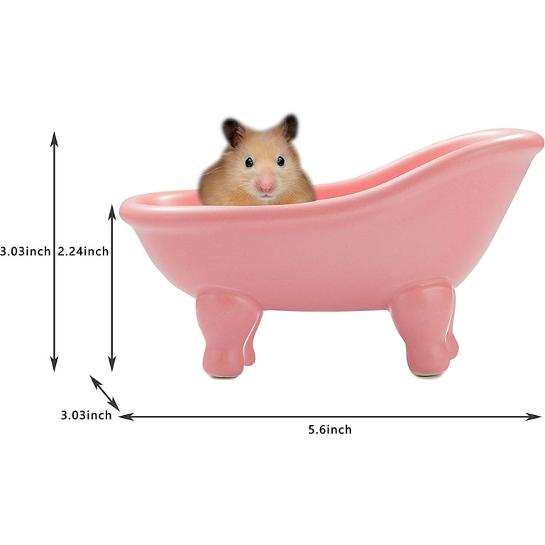 Hamster Makeup | Saubhaya Makeup