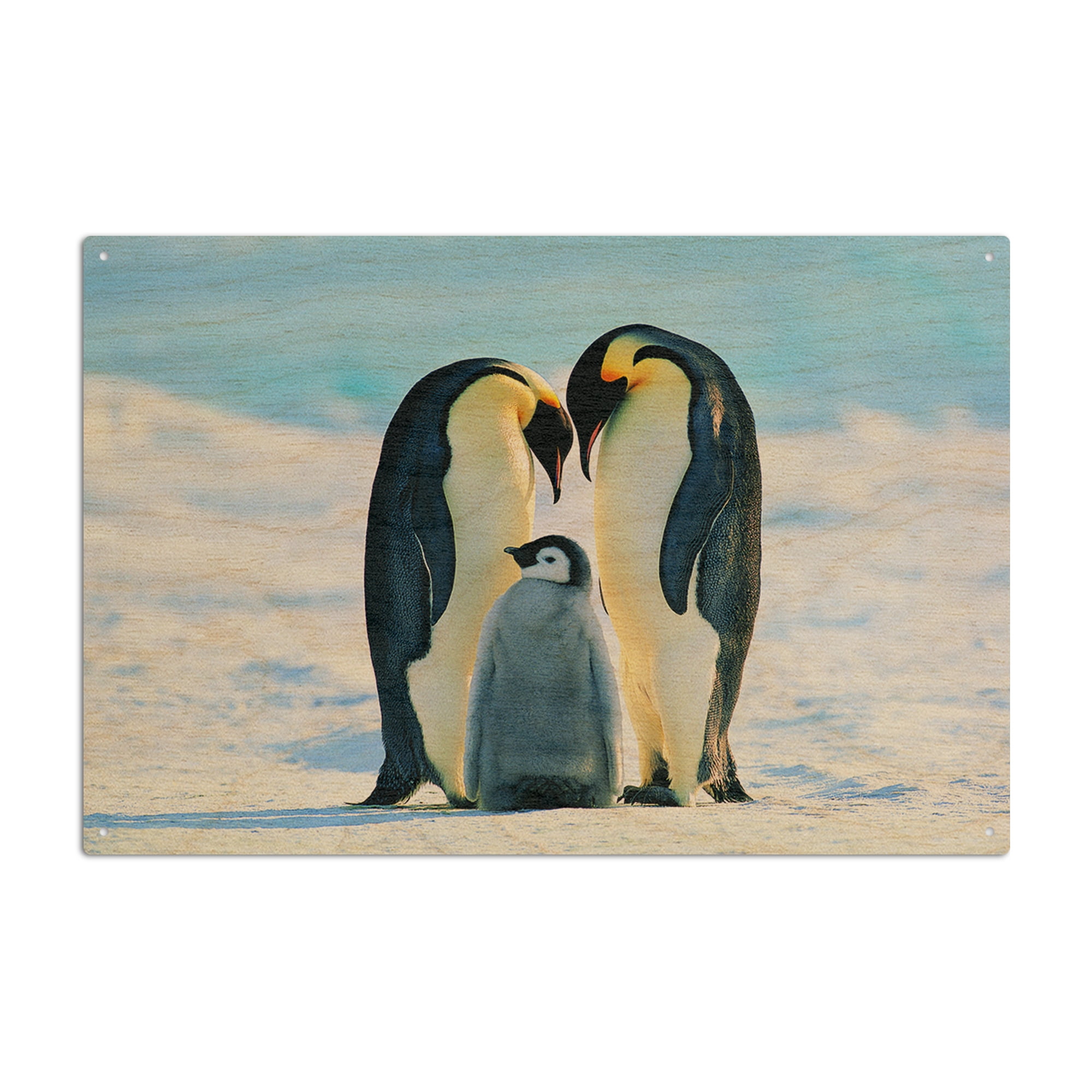 Emperor Penguins and Baby Birch Wood Wall Sign (6x9 Rustic Home Decor ...