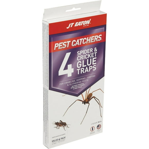Spider Cricket Traps