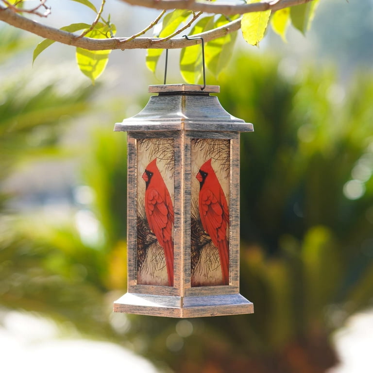 Stl Cardinal Solar Light