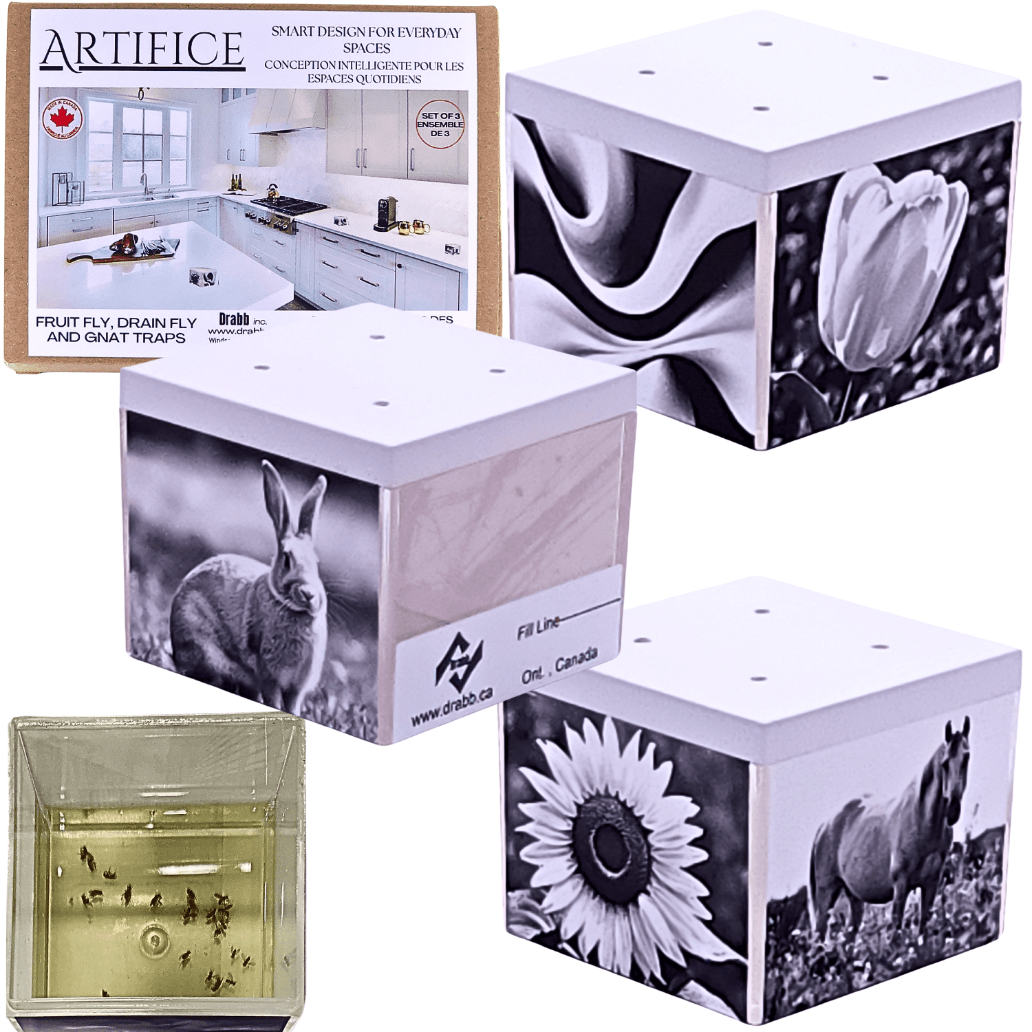 Click here for Drabb . Discreet Reusable Fruit Fly Traps. Blends... prices