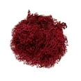10g Pack Red Preserved Moss - Natural Immortal Dry Moss for Artificial ...