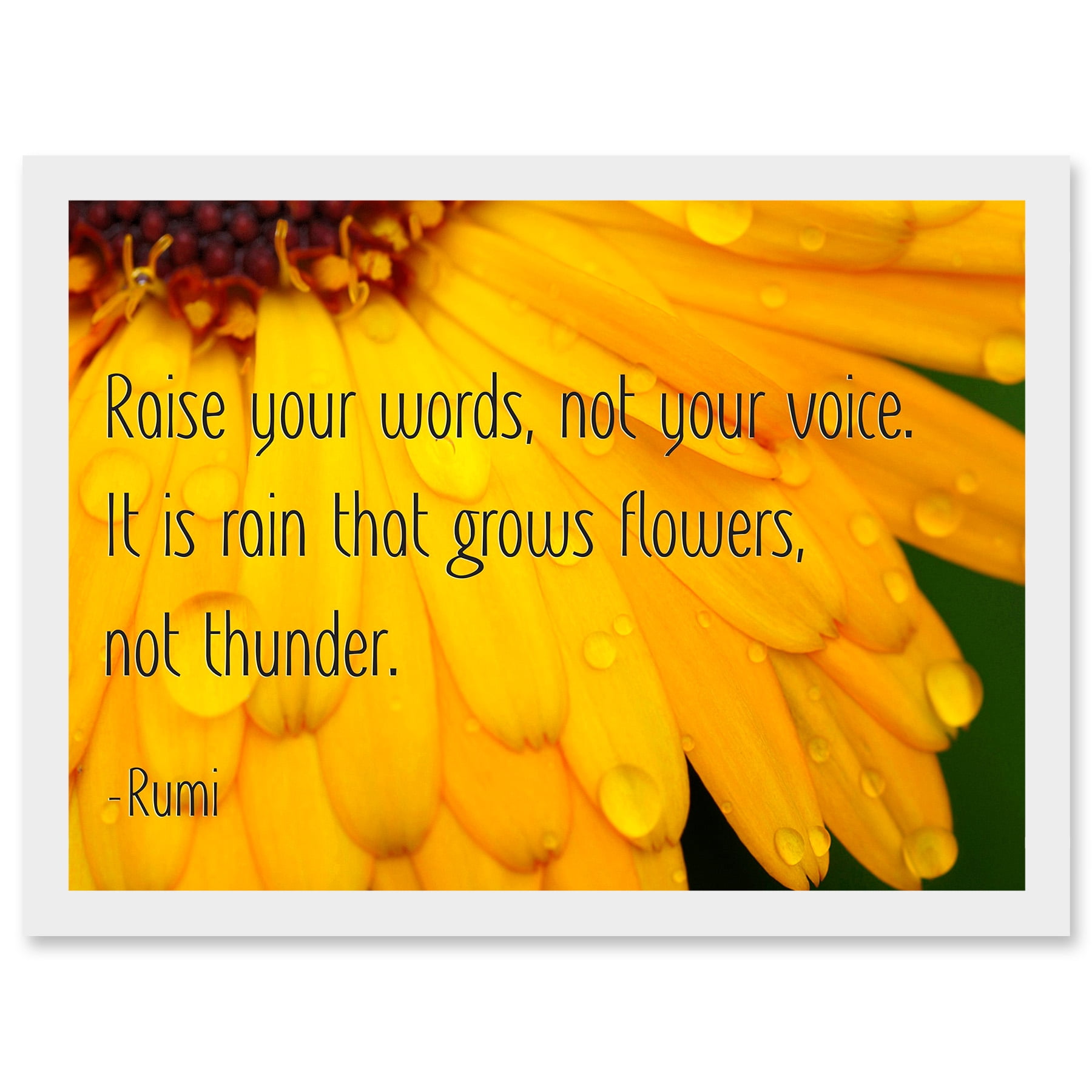 Quote Typography Words Raise Your Words Not Voice Thunder Rumi Artwork ...