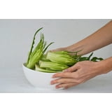 250 CICORIA CATALOGNA Puntarelle Chicorium Chicory Vegetable Seeds ...