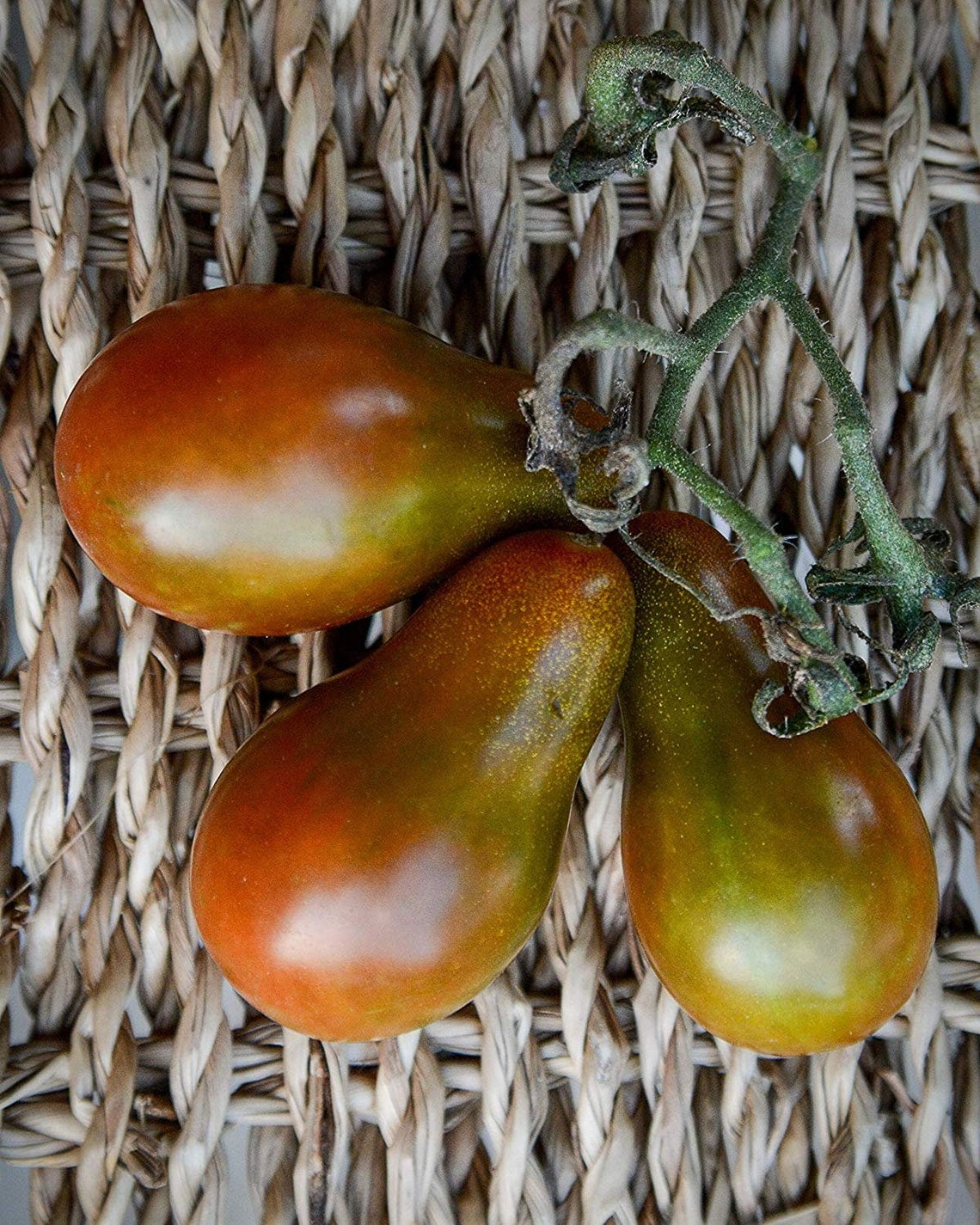 Chocolate Pear Heirloom Tomato Premium Seeds Packet - Walmart.com