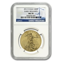 1 oz Burnished American Gold Eagle MS-70 NGC (Random Year) - Walmart.com