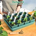 60 Small Nursery Pots for Plants, 5 Seed Starter Tray Kit, 3.3 Inch ...