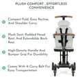 Evolur Cruise Rider Stroller, Koala Gray - Walmart.com