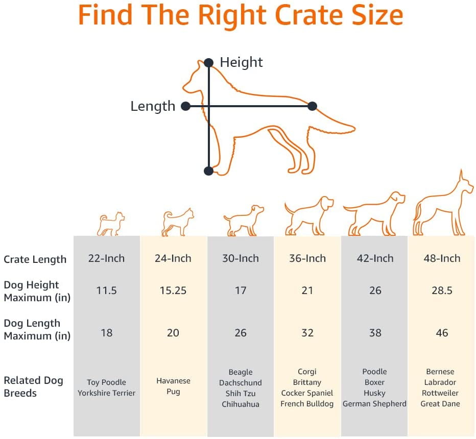How To Choose The Perfect Dog Crate BeChewy Buying Guide | atelier-yuwa ...