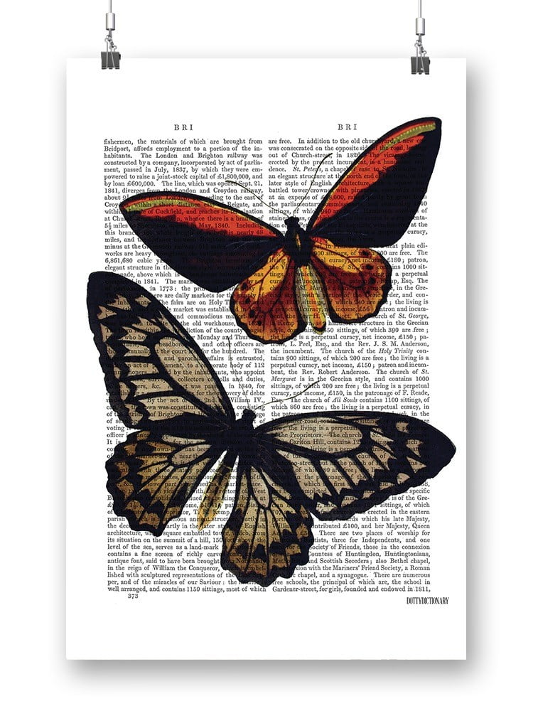 Vintage Butterflies Poster - Fab Funky Designs, - Walmart.com