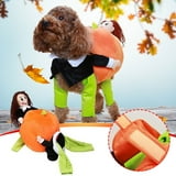 Funny Dog Clothes - Design a Unique and Hilarious Outfit for Your Pet ...