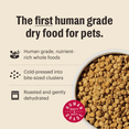 The Honest Kitchen Human Grade Dry Dog Food Whole Food Clusters Grain ...