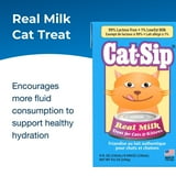 PetAg Cat-Sip® Milk Treat for Cats & Kittens, 8 fl oz. - Walmart.com