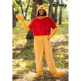 Adult Deluxe Disney Winnie the Pooh Costume - Walmart.com