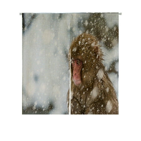HATIART Baby Snow Monkey Macaca Fuscata Snowstorm Japanese Noren ...