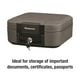 SentrySafe CHW20201 Fire-Resistant and Water-Resistant Chest Safe with Tubular Key Lock 0.28 cu ...