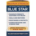 Blue Star Ointment, Anti-Itch Medicated Ointment for Eczema, Insect ...