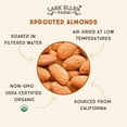 Raw Almonds, Sprouted Unsalted, Steam Pasteurized, Certified USDA ...