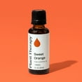 Plant Therapy Sweet Orange Essential Oil 100% Pure Undiluted ...