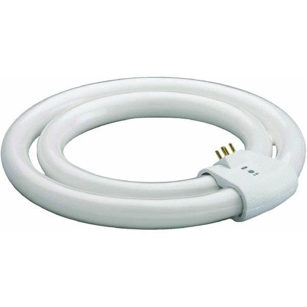 Lithonia 2CT6 4-Pin Replacement Circline Light Bulb - Walmart.com ...