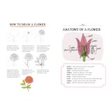 Nature Anatomy Notebook - Paperback - Walmart.com