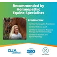 5Strands Equine Health Test, 307 Items Tested, Environmental & Food ...