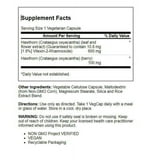 Solaray One Daily Hawthorn Extract 600 mg Capsules, 30 Ct - Walmart.com