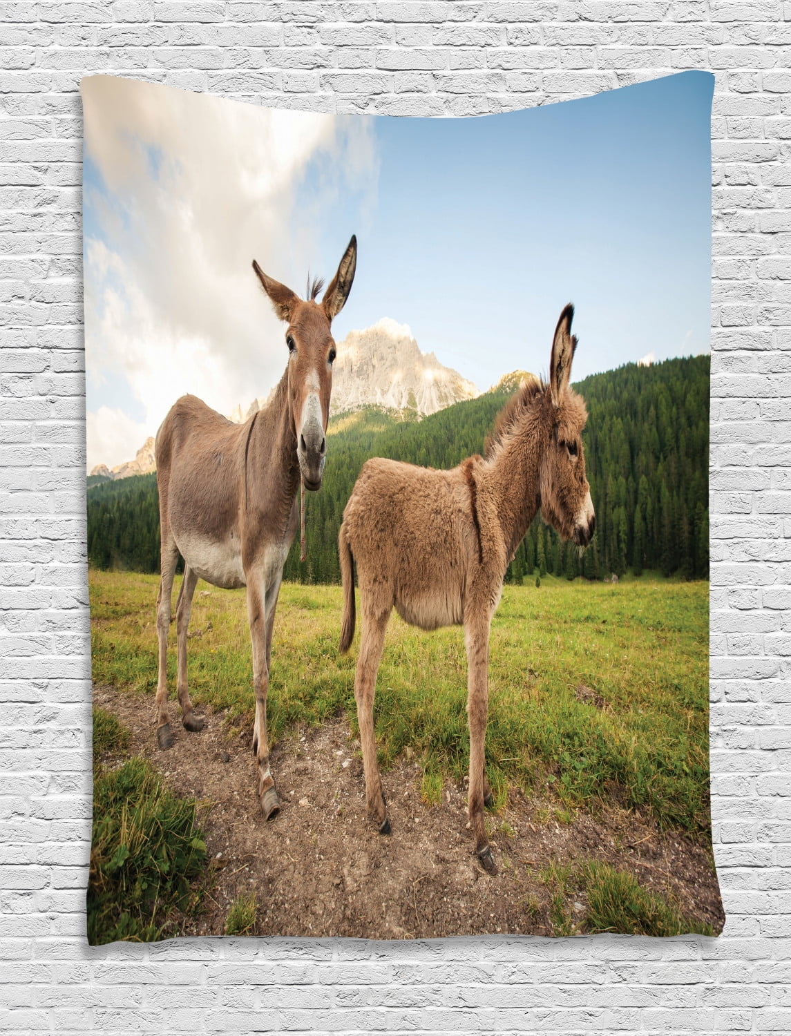 Donkey Tapestry, Two Cute Donkeys Standing on the Meadow in Dolomites ...