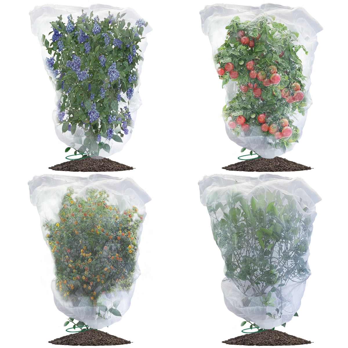 OZMI 4 Pack Garden Plant Fruits Blueberry Bushes Protection Netting ...