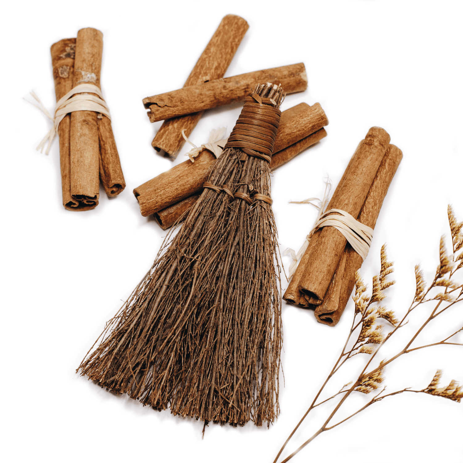 Are Cinnamon Brooms Safe For Dogs