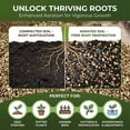 Sukh 29OZ Vermiculite - Organic Vermiculite for Gardening Plants Fine ...