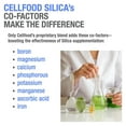 Lumina Health Cellfood Essential Silica Liquid Formula 4 oz for Bones ...