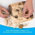 National Geographic Super Fossil Dig Kit - Walmart.com