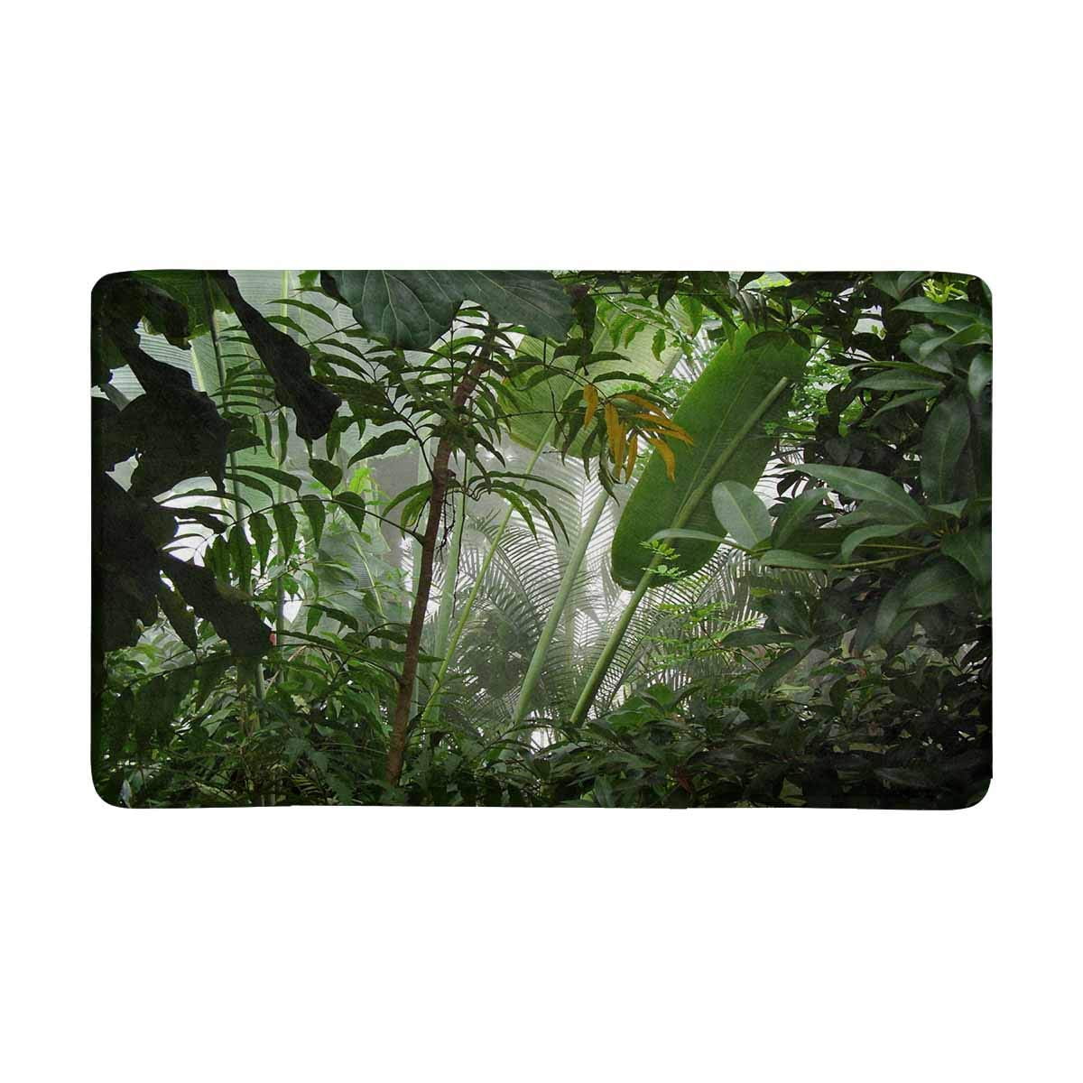 MKHERT Tropical Rainforest Scene Misty Palm Tree and Jungle Doormat Rug ...