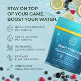 Primal Harvest Primal Hydration Instant Mixing Powder, 30 Sugar-Free ...