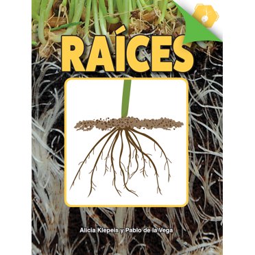 ¡La Paloma encuentra un perro caliente! (Paperback) - Walmart.com